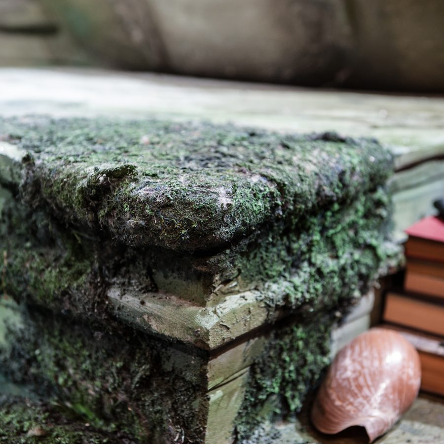 The Story Giant – Splinter Scenery